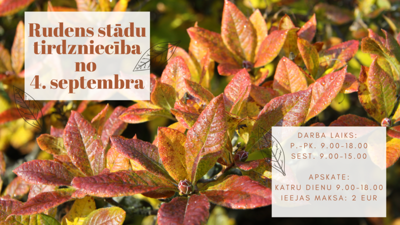 LU Rododendru selekcijas un izmēģinājumu audzētava "Babīte"